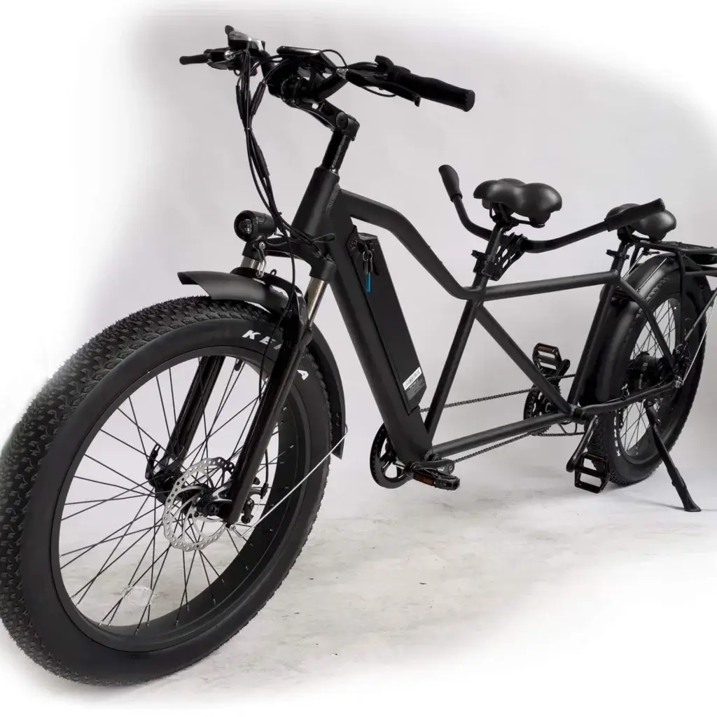 Ride Together: Discover Electric Tandem Bikes